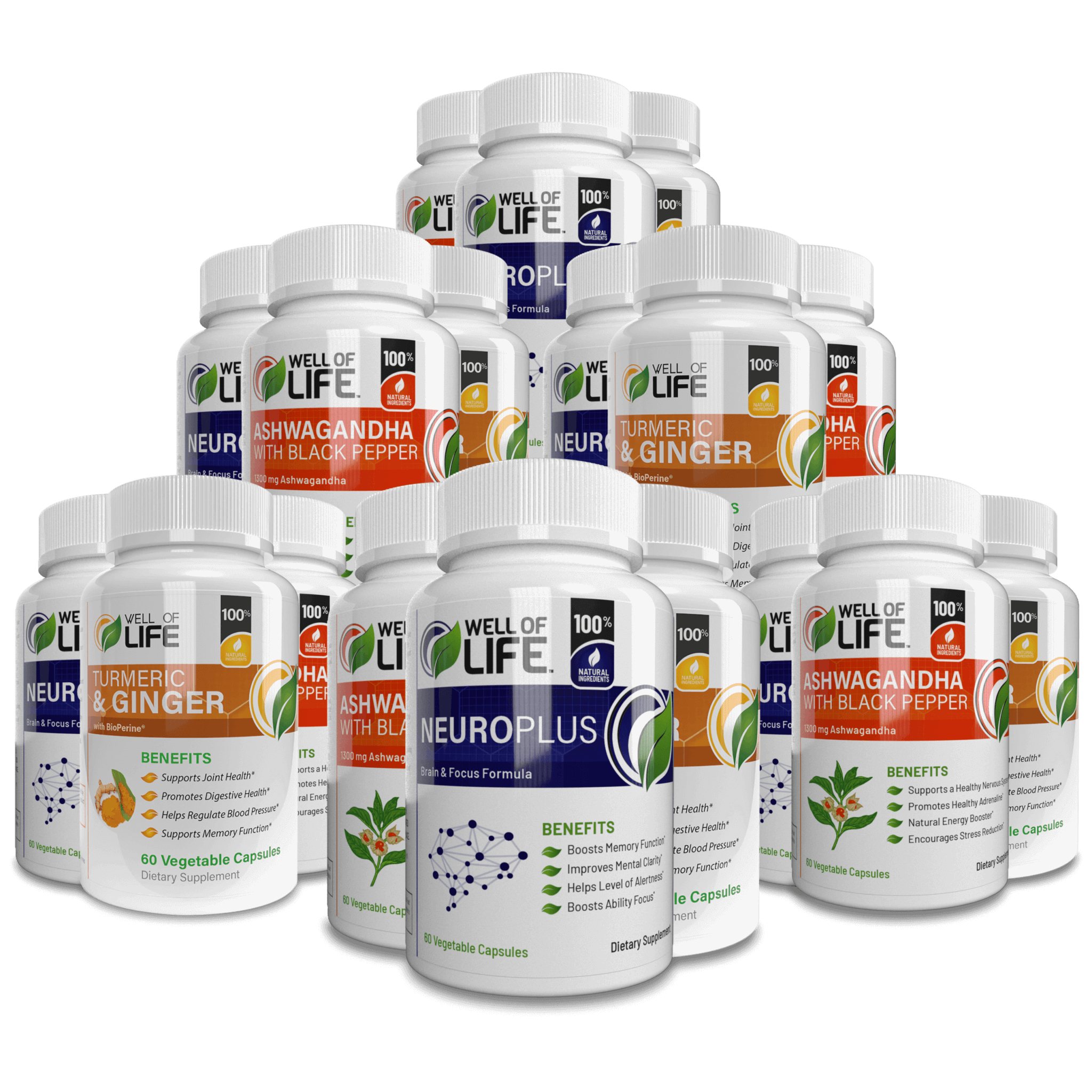 The NEUROENHANCER KIT ⋆ Well Of Life™