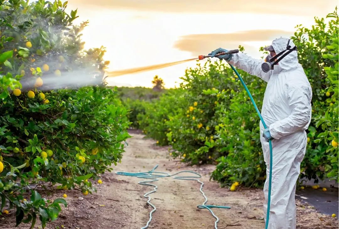 Glyphosate Toxicity: What You Need to Know ⋆ Well Of Life™